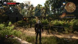 White Orchard Place Of Power | The Witcher 3